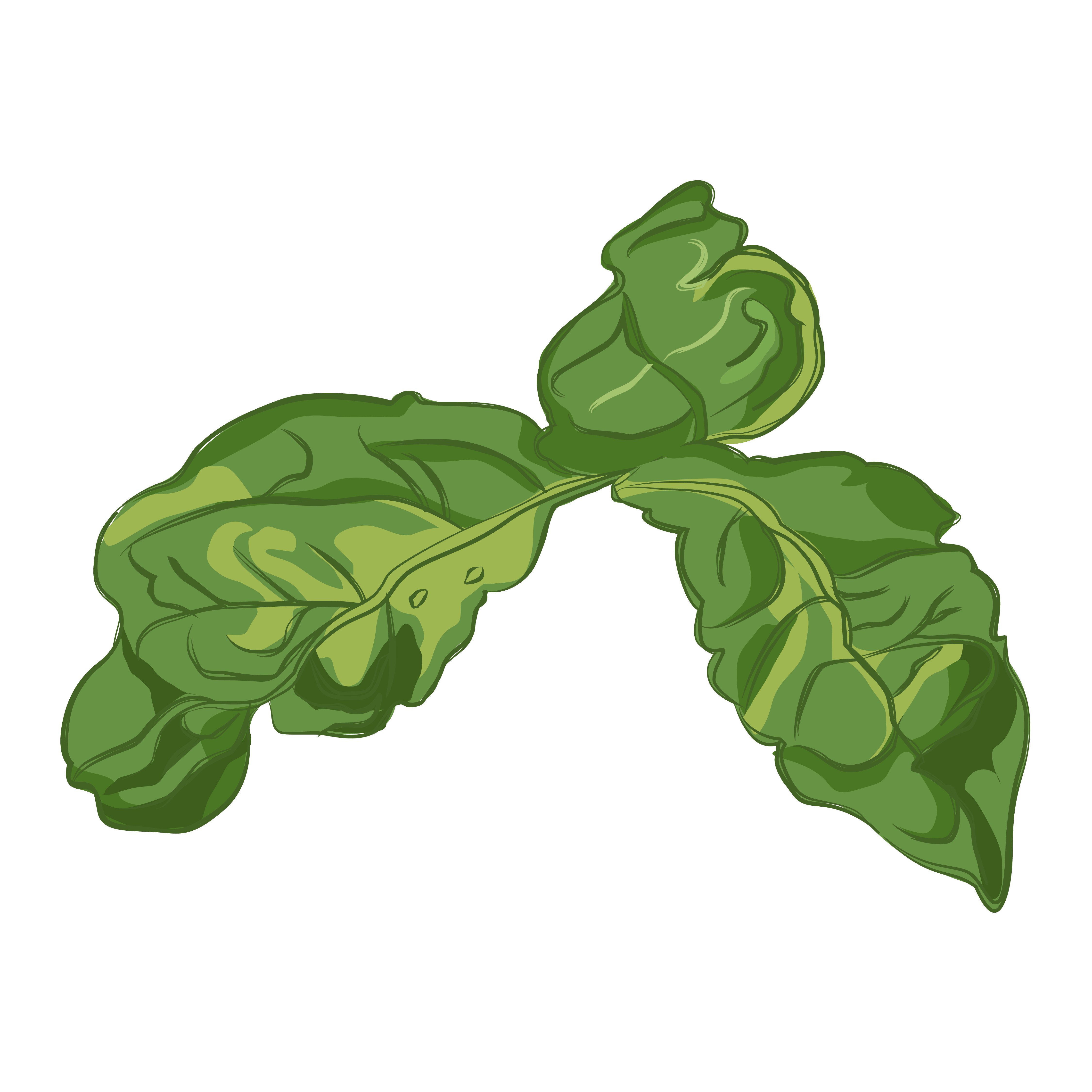 Common nutrient deficiencies in plants - and how to fix them