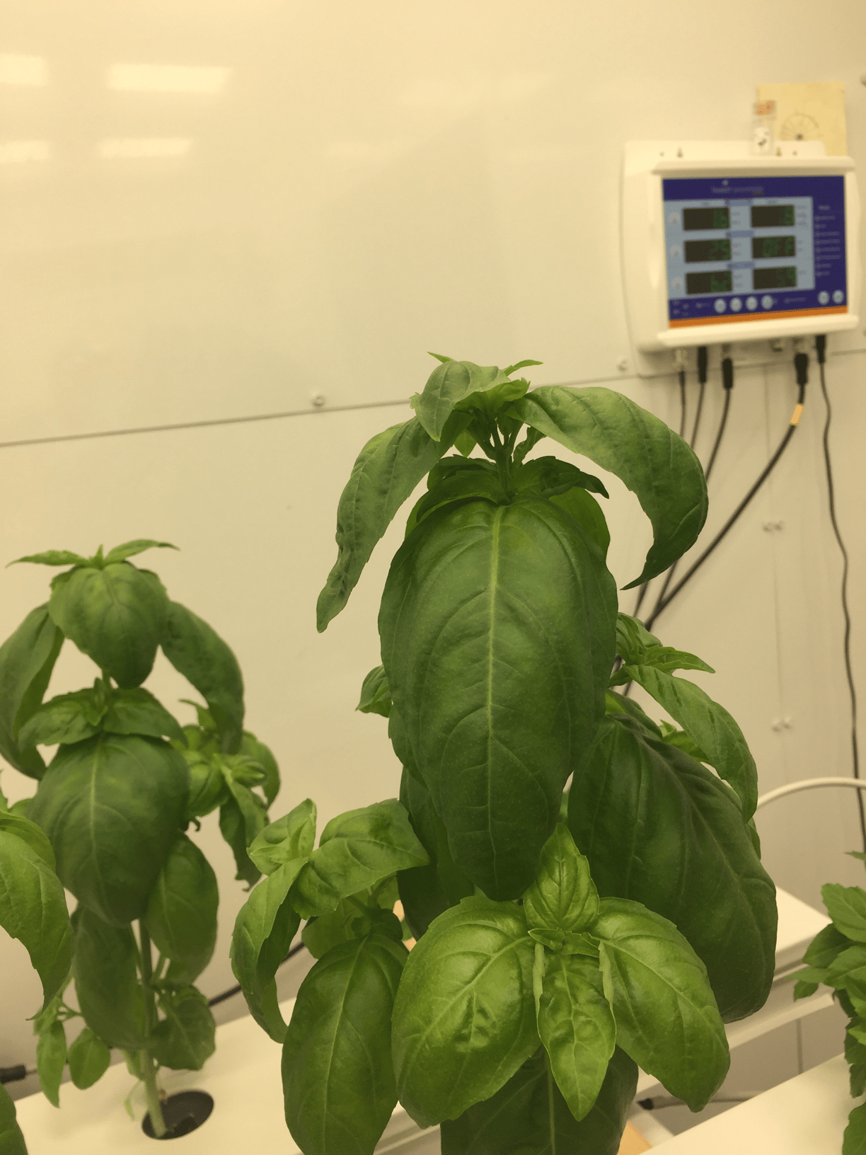 Cornell University – Pro Controller case study