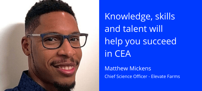 How to be successful in CEA: 6 experts share their best advice