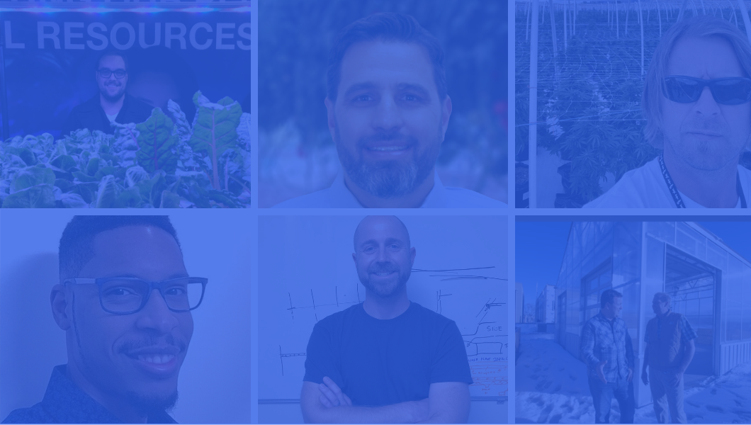 How to be successful in CEA: 6 experts share their best advice